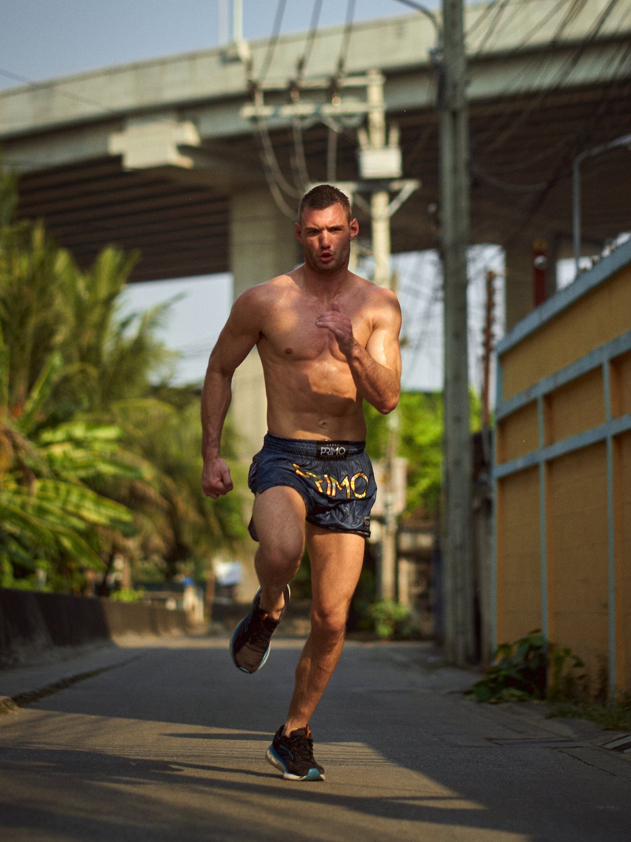 About Us - Primo Fight Wear – Primo Fightwear Official