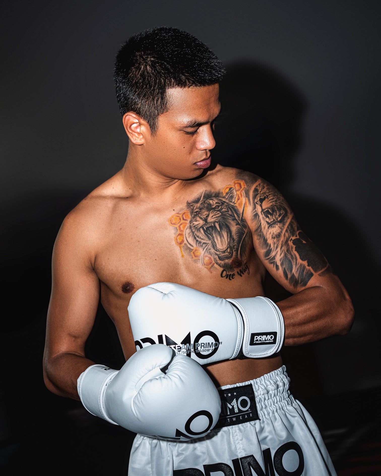 Emblem 2.0 Boxing Gloves - Champion Red – Primo Fightwear Official
