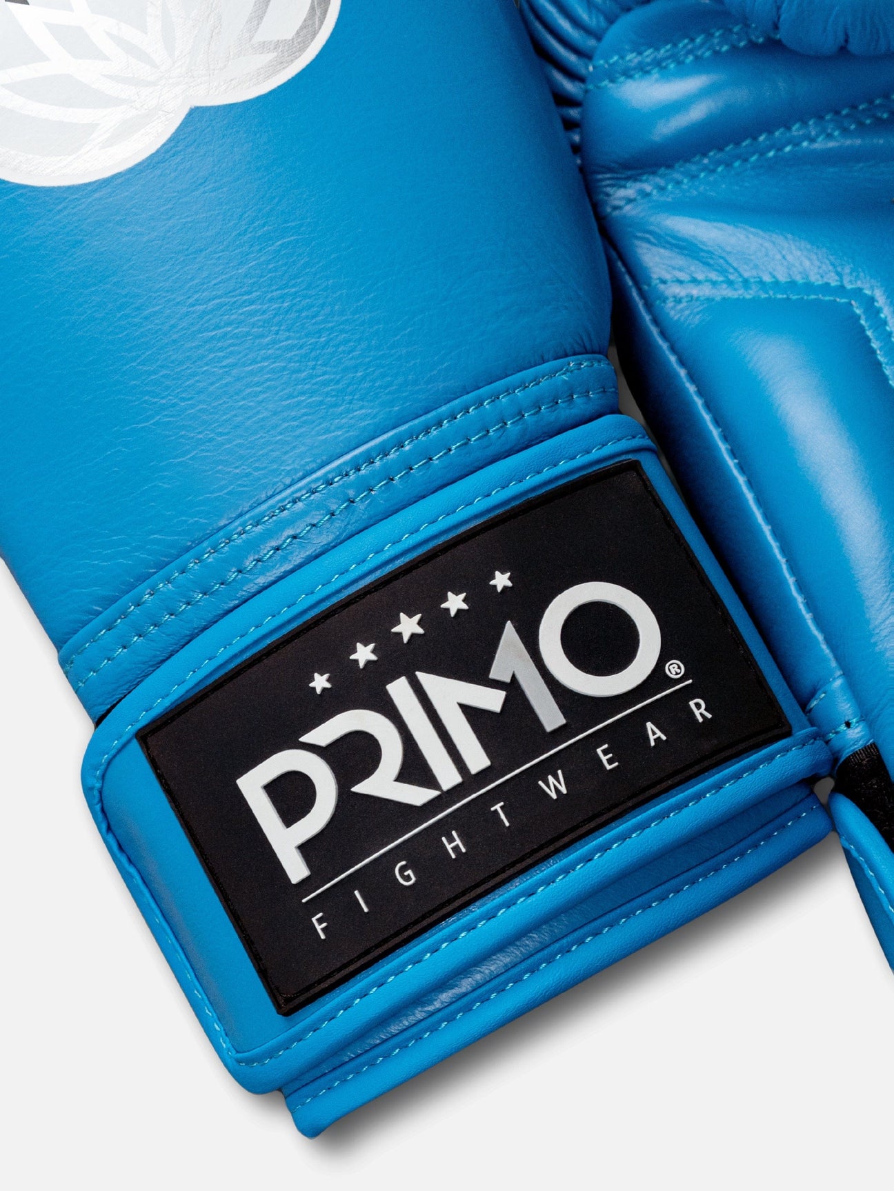 Emblem 2.0 Boxing Gloves - Mayan Blue – Primo Fightwear Official